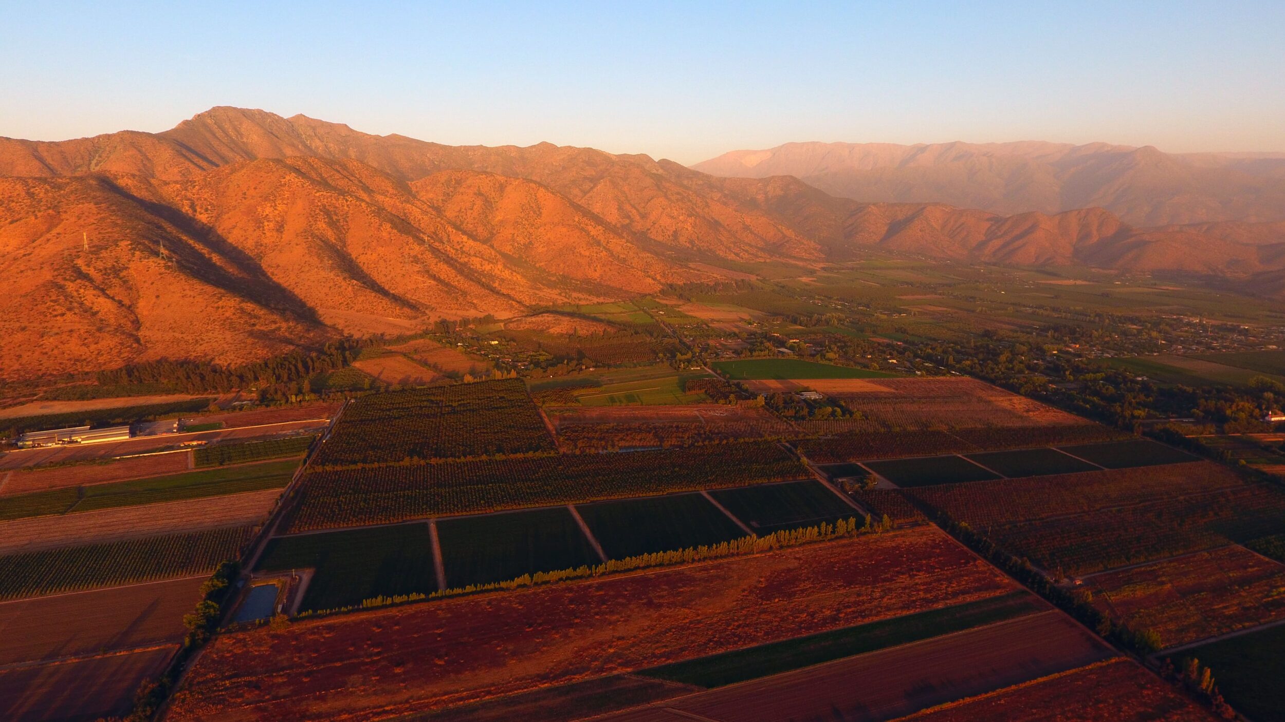 Montes - Excellence Vin